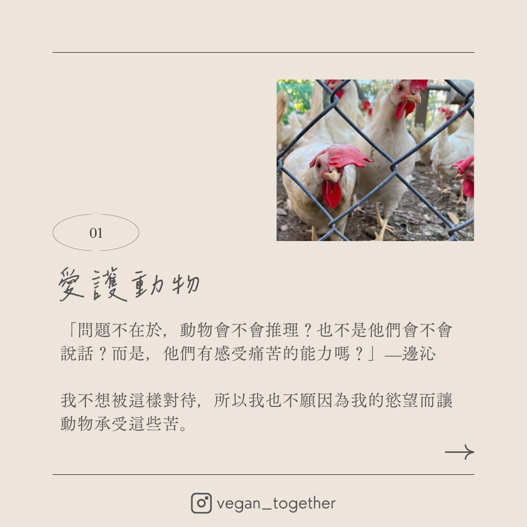 吃素已不再是因為宗教信仰！5個理由告訴你為什麼要吃素？ | YULUN | HKESE