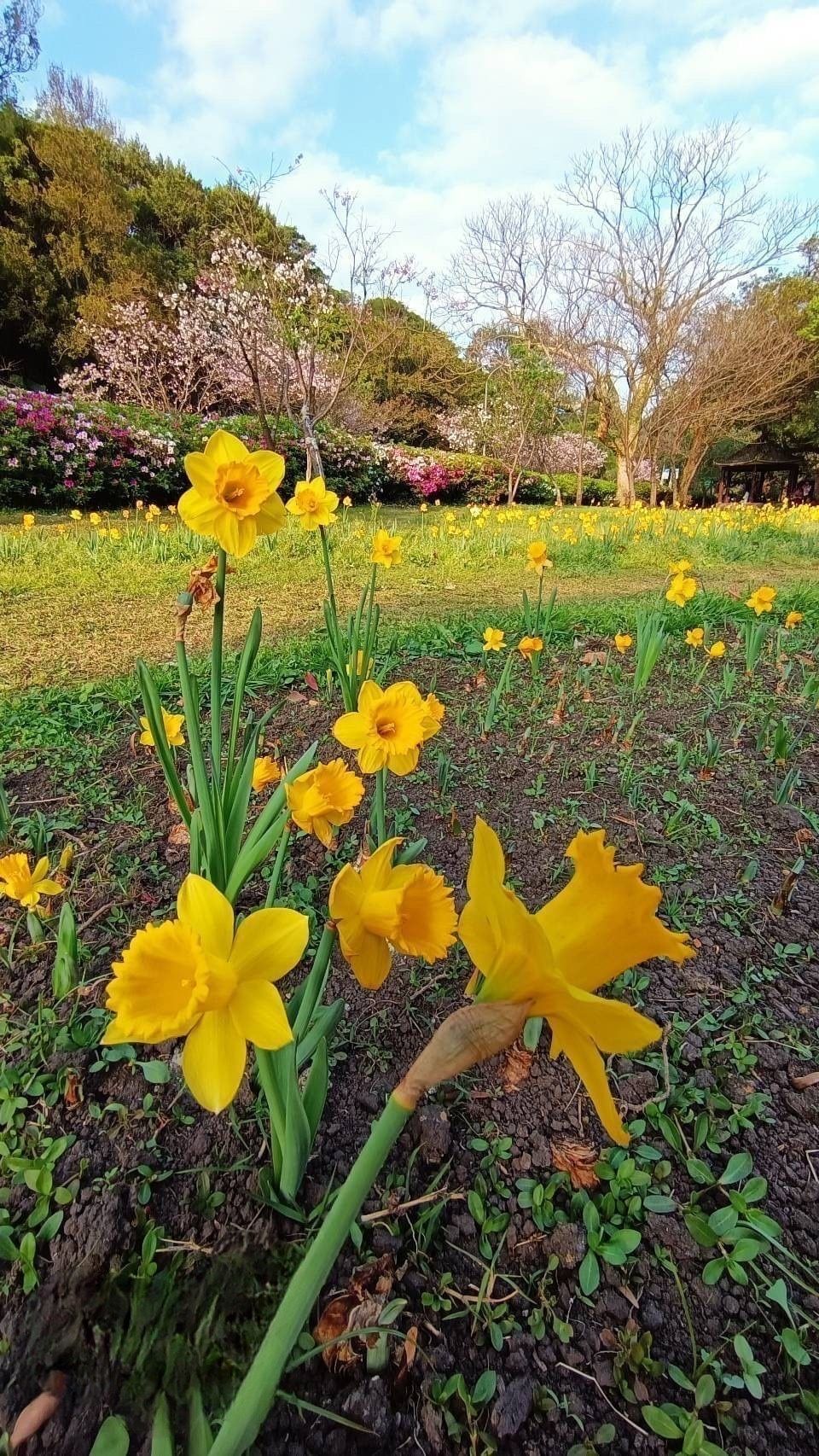 等待花開重逢時（上） | hanguan1207_n4r | HKESE