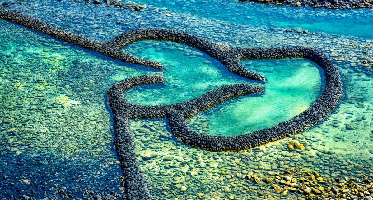 自由？ | Iris | HKESE